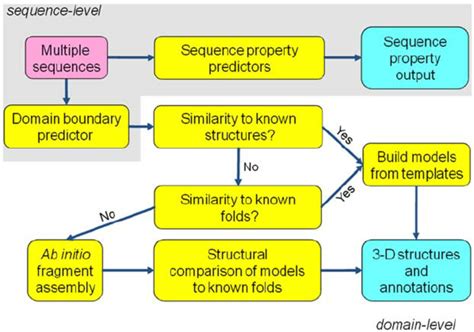 Workflow For The Protein Structure Prediction Pipeline Given A Single