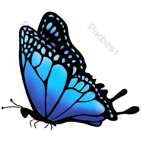 Dangle Delights Discover Single Flare Butterfly Wings Plugs PNG Images