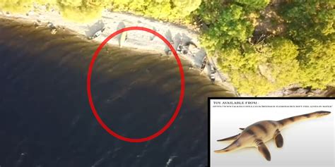 No Surprise That Drone Video Probably Isn T Nessie