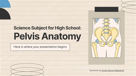 Powerpoint Presentation Template Anatomy