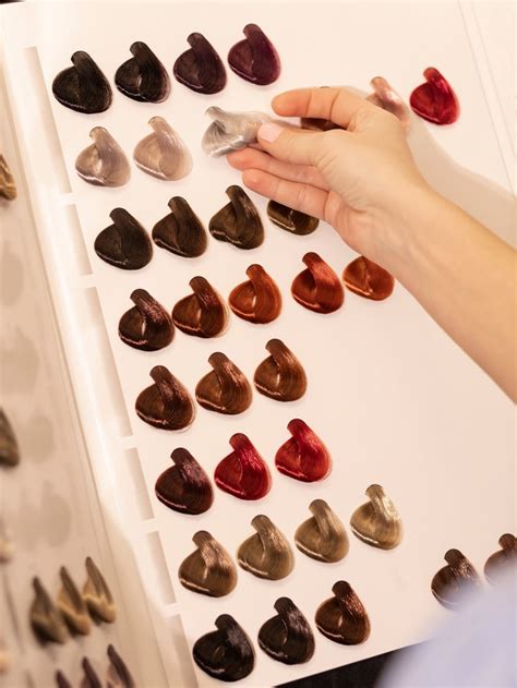 The Hair Color Numbering System Luc Vincent