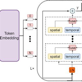 Stereo Video Transformer Architecture We Factorize All Encoder Parts Download Scientific