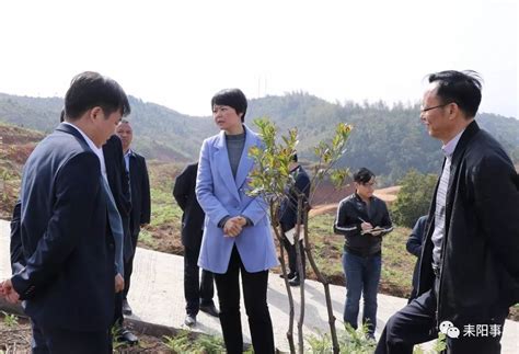 罗琼任命 罗琼任免 第8页 大山谷图库