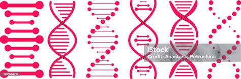 Dna 평면 벡터 그림입니다 분자 Dna 세트의 간단한 그림 생명 유전자 모델 바이오 코드 유전학 분자 의학 기호 분자 구조