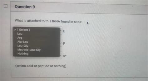 Solved Consider The Translation Of A Polypeptide Encoded By
