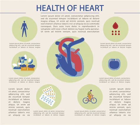 Human Heart Infographic Images Free Download On Freepik