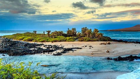 Why Visit The Galapagos Islands Faq Andbeyond