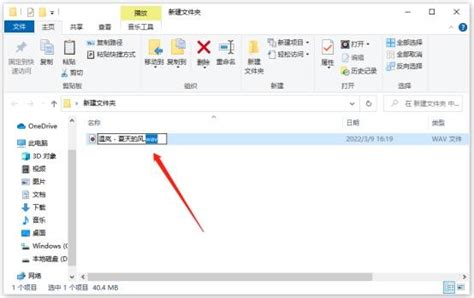 wav格式用什么播放器可以播放？ 文件 windows 方法