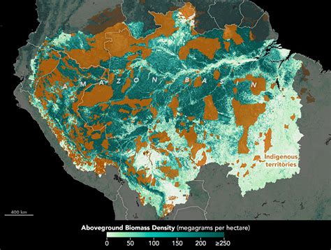 Indigenous Communities Protect The Amazon