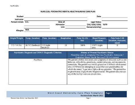 Nursing Care Plan Mental Health W E S T C O A S T U N I V E R S I T