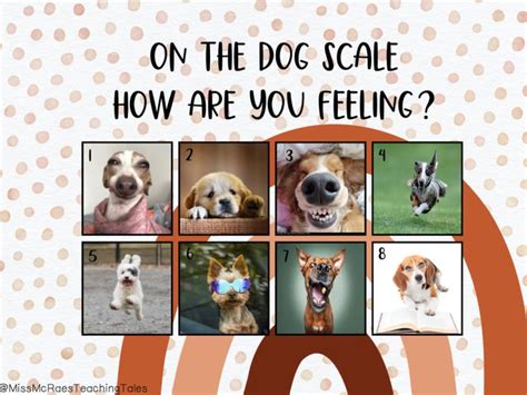 Emotion Check In Scales Social Emotional Learning In 2024 Social