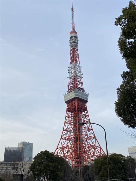 東京へ来て3日たち宇部に帰る前 ブログ 宇部市の整体なら優カイロプラクティック