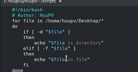 Mastering Bash Script Check File And Directory