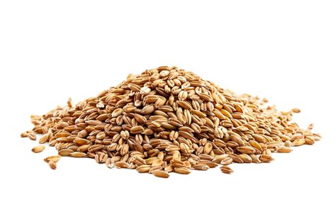 Ai Generated Pile Of Whole Grain Wheat Kernels Png 41042833 Png