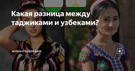 Какая разница между таджиками и узбеками Живая Средняя Азия Дзен