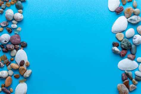 파란색 배경에 플랫 평구 구성 바다 자갈과 조개 텍스트 공간 갑각류에 대한 스톡 사진 및 기타 이미지 갑각류 개념 개념과 주제 Istock