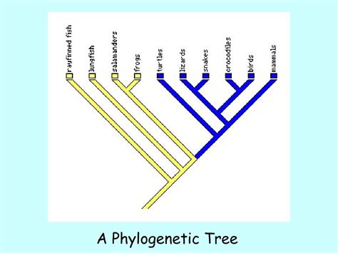 Ppt Bioinformatics Powerpoint Presentation Free Download Id 867007