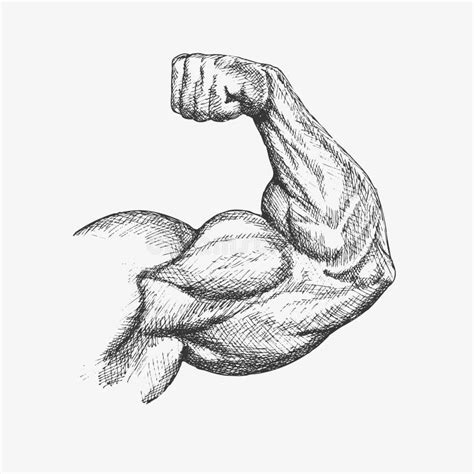 How To Draw A Biceps Really Easy Drawing Tutorial Atelier Yuwa Ciao Jp