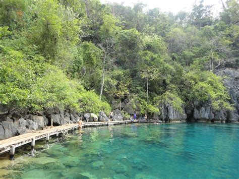 Kayangan Lake Claims To Be The Cleanest Lake In The Philippines Coron