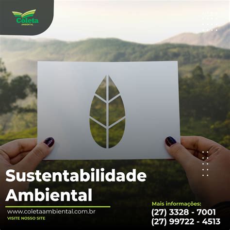Sustentabilidade Ambiental Coleta Waste Management Coleta De Resíduos