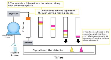 Separation Techniques In Hplc Exploring The Fundamentals Conquer