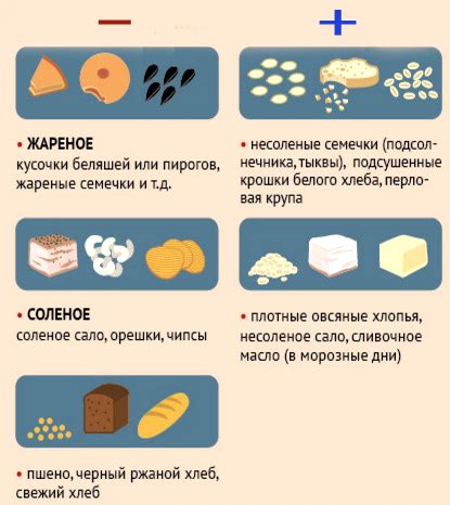 Чем кормить синиц зимой: Список продуктов | Дача