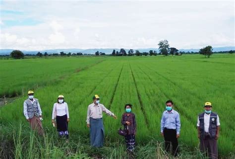 ကလေးမြို့နယ် ပျဉ်းခုံကြီးကျေးရွာတွင် ကိုဗစ် ၁၉ စီးပွားရေးကုစားမှု Cerp