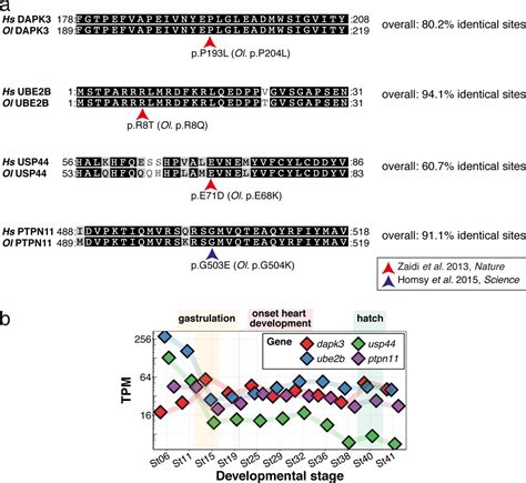 Figures And Data In Precise In Vivo Functional Analysis Of Dna Variants