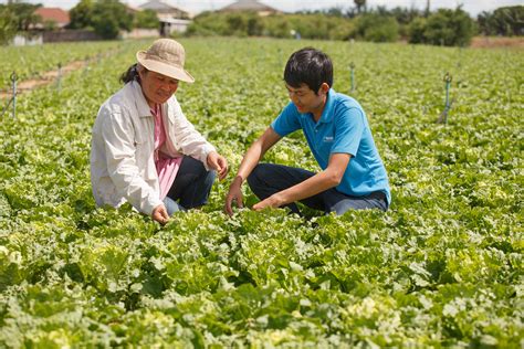 About Us Basf Crop Protection Philippines