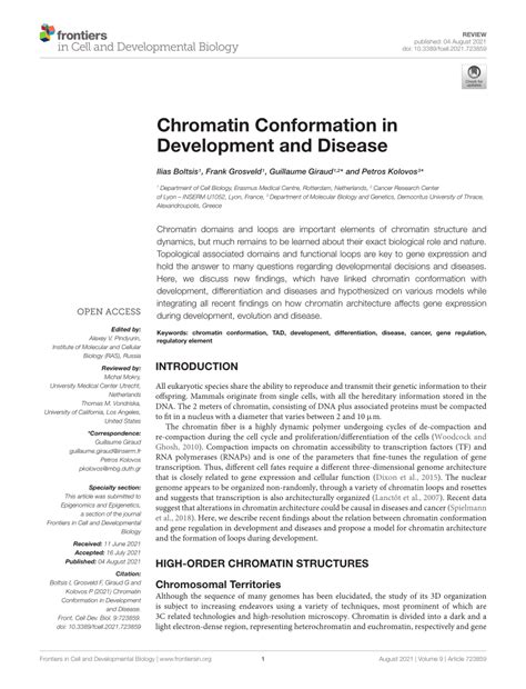 Pdf Chromatin Conformation In Development And Disease