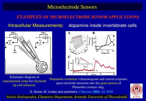 PPT WHAT IS A MICROELECTRODE PowerPoint Presentation Free Download ID