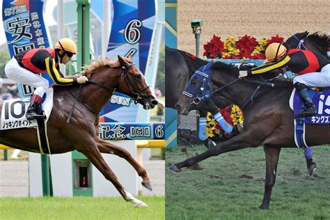 【毎日杯展望】キングズレインvsノッキングポイント 主戦・ルメール不在も必見の〝登竜門〟 競馬ニュース・特集なら東スポ競馬