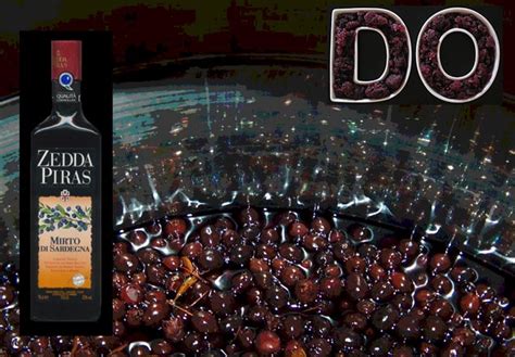 Arrayan Mirto O Guayabillo 06 Exotic Fruit Fruit Exotic