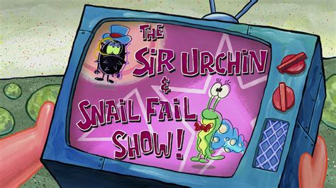The Sir Urchin And Snail Fail Show Encyclopedia Spongebobia Fandom