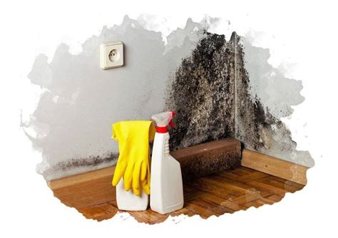 Alpa Fongifluid / Альпа Фонгифлюид жидкость на основе противогрибковых ...