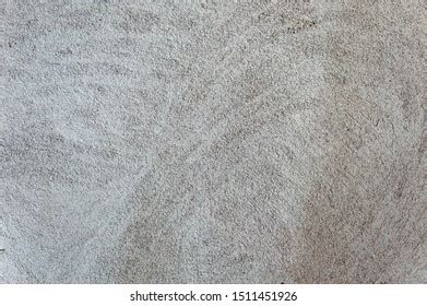 Lime Plaster Interiors Images Stock Photos Vectors Shutterstock
