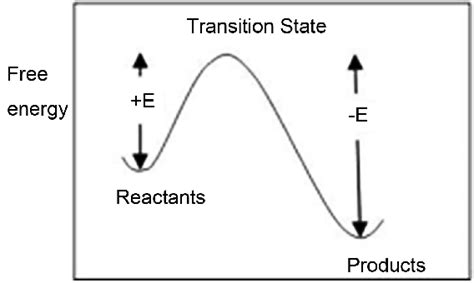 The Reaction Path From Reactants To Products Download Scientific Diagram