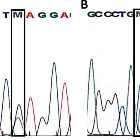 Schematic Presentation Of The Multiplex As Pcr Method A Two Reaction