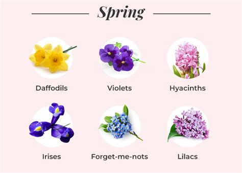 Flowers In Season During March At Phoebe Reddall Blog