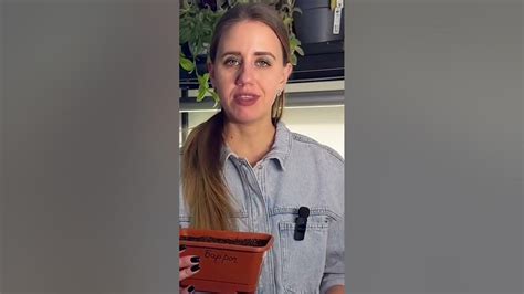 Правильный уход за земляникой после посева семян Youtube