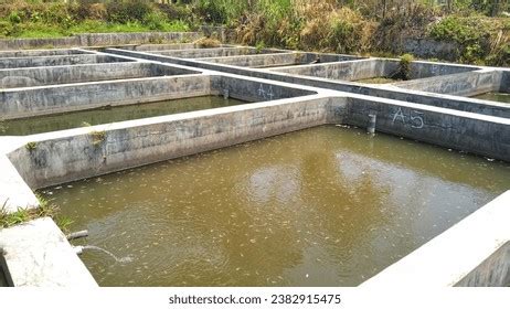 Tank Fish Farming Images Stock Photos D Objects Vectors Shutterstock