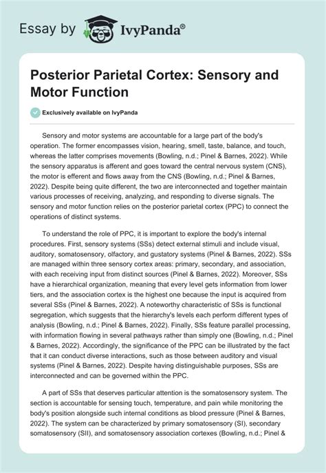 Posterior Parietal Cortex Sensory And Motor Function 1201 Words Essay