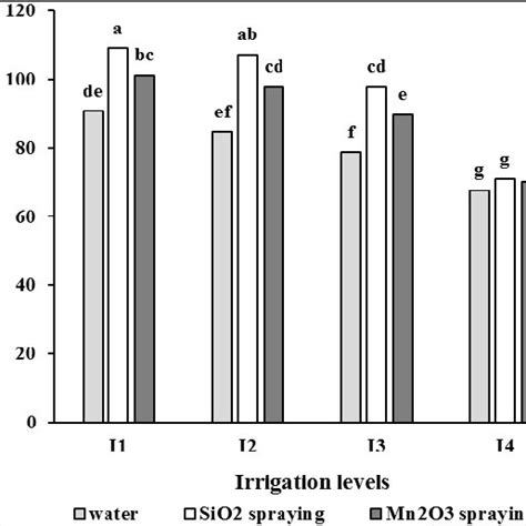 Means Of Safflower Plant Height For Interaction Of Irrigation Intervals Download Scientific