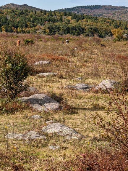 Grayson Highlands Loop Backpacking Light