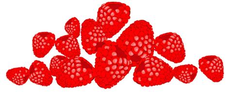 21 805 511 Microscopic Aids Vector Images Depositphotos