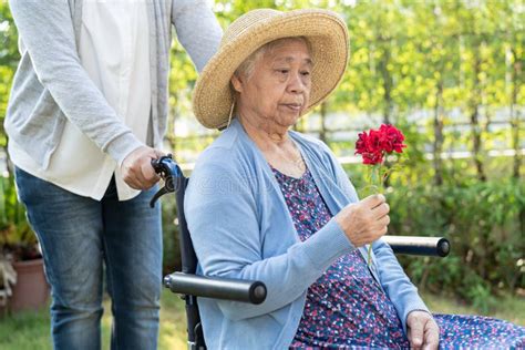 Asian Senior Or Elderly Old Lady Woman Holding Red Rose On Wheelchair