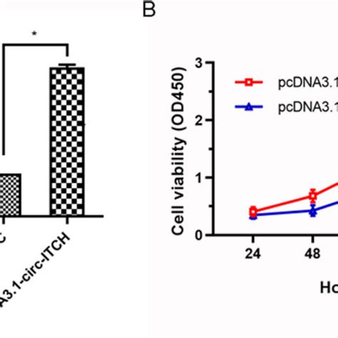 A Circrna Itch Overexpression Effect Determined Using Qrt Pcr P