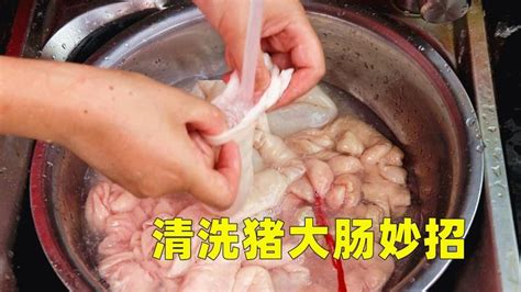 原来清洗猪大肠这么简单，80岁爷爷教我拿手绝活，腥臭味全无 知乎