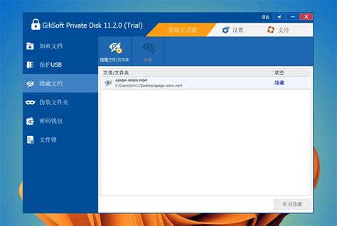 Gilisoft Private Disk 软件 官方授权正版软件平台