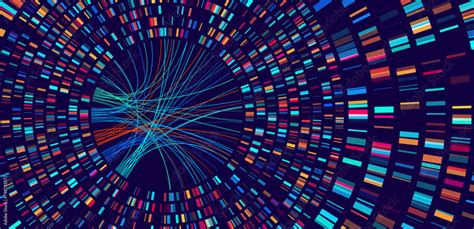 Circular Big Data Graph Dna Test Infographic Circle Genome Sequence Map Chromosome